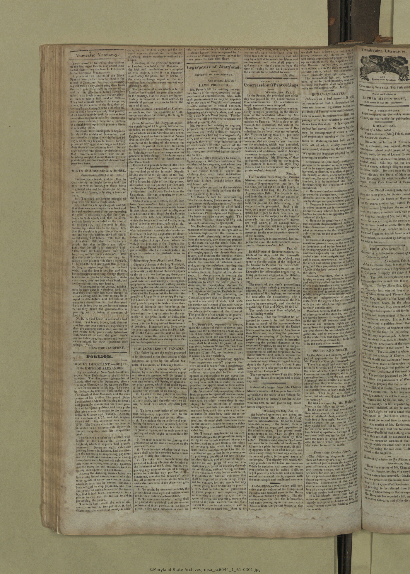 Maryland State Archives Dorchester County Historical Society Newspaper Collection MSA SC 6044 ...